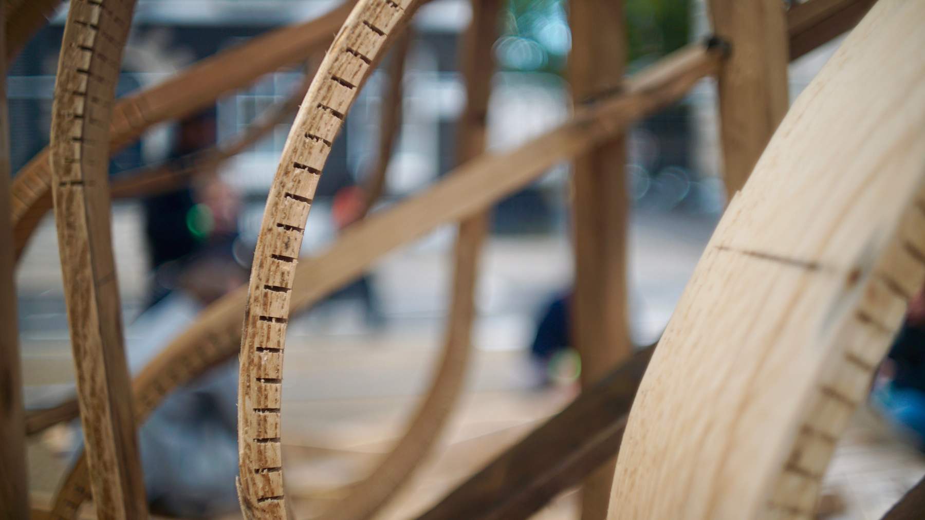 Arboreal joined the construction on Bedford Square | Arboreal Architecture