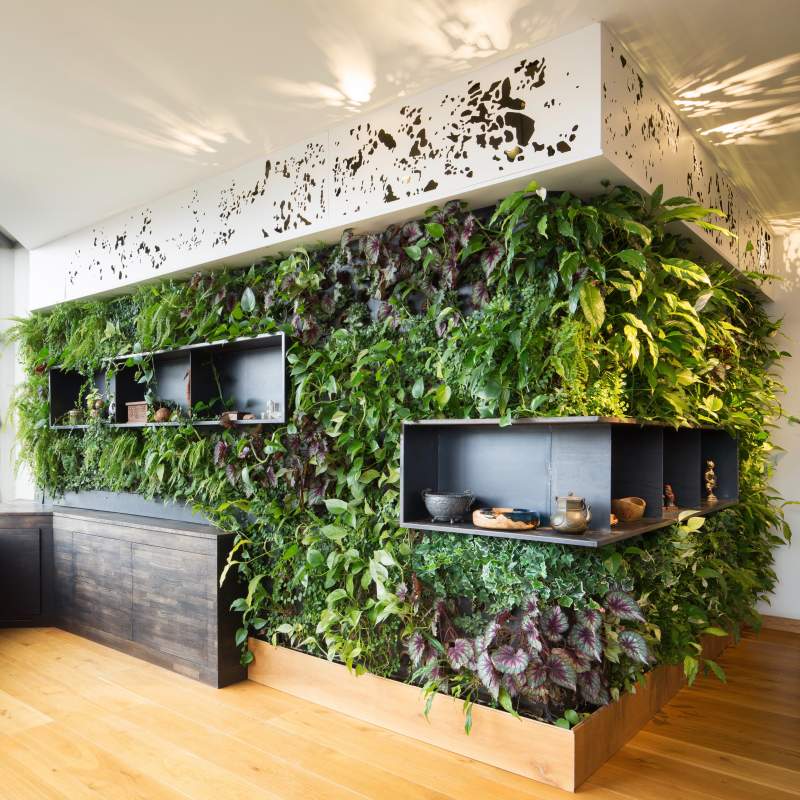 Arboreal Architecture, Sustainable Architect | Arboreal Architecture