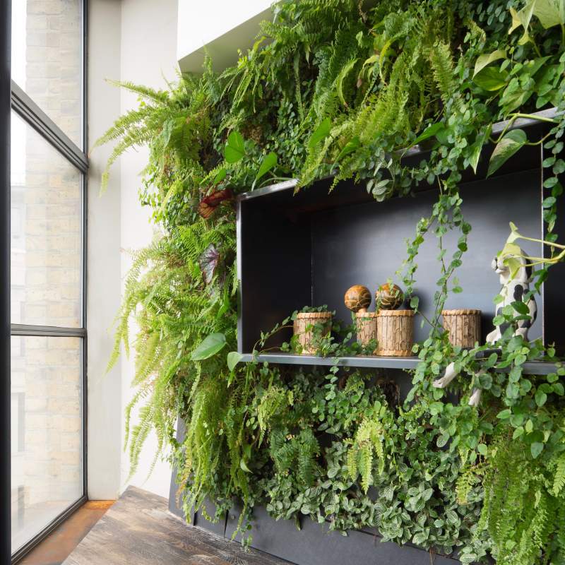 Arboreal Architecture, Sustainable Architect | Arboreal Architecture