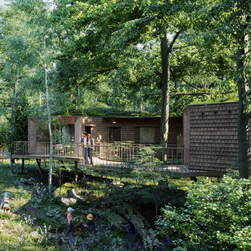 An ecological architecture practice | Arboreal Architecture