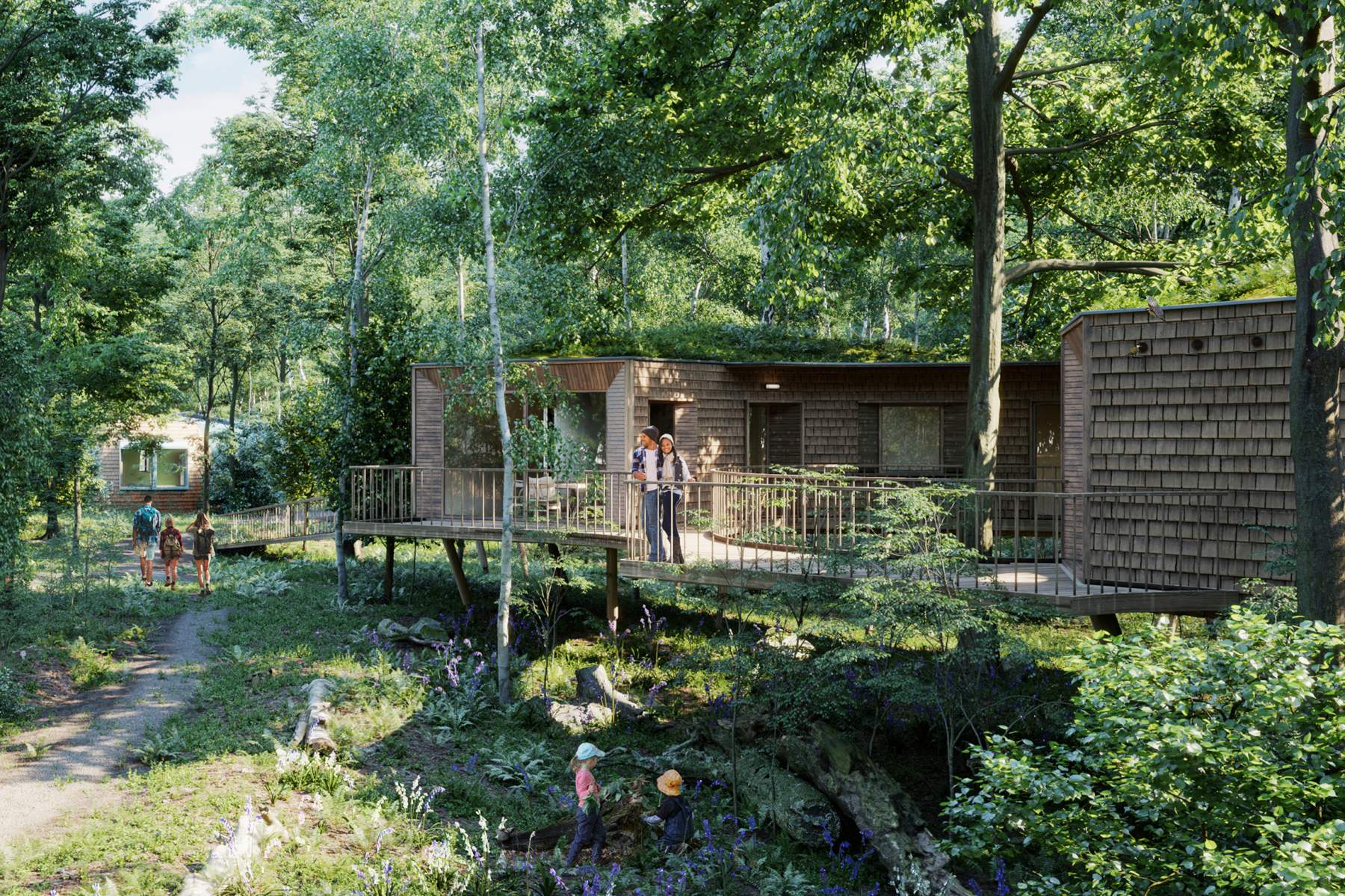 Design and architecture in National Forest | Arboreal Architecture