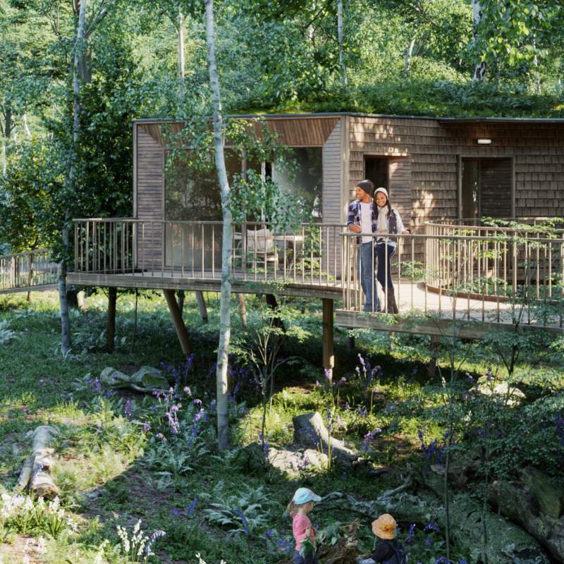 An ecological architecture practice | Arboreal Architecture